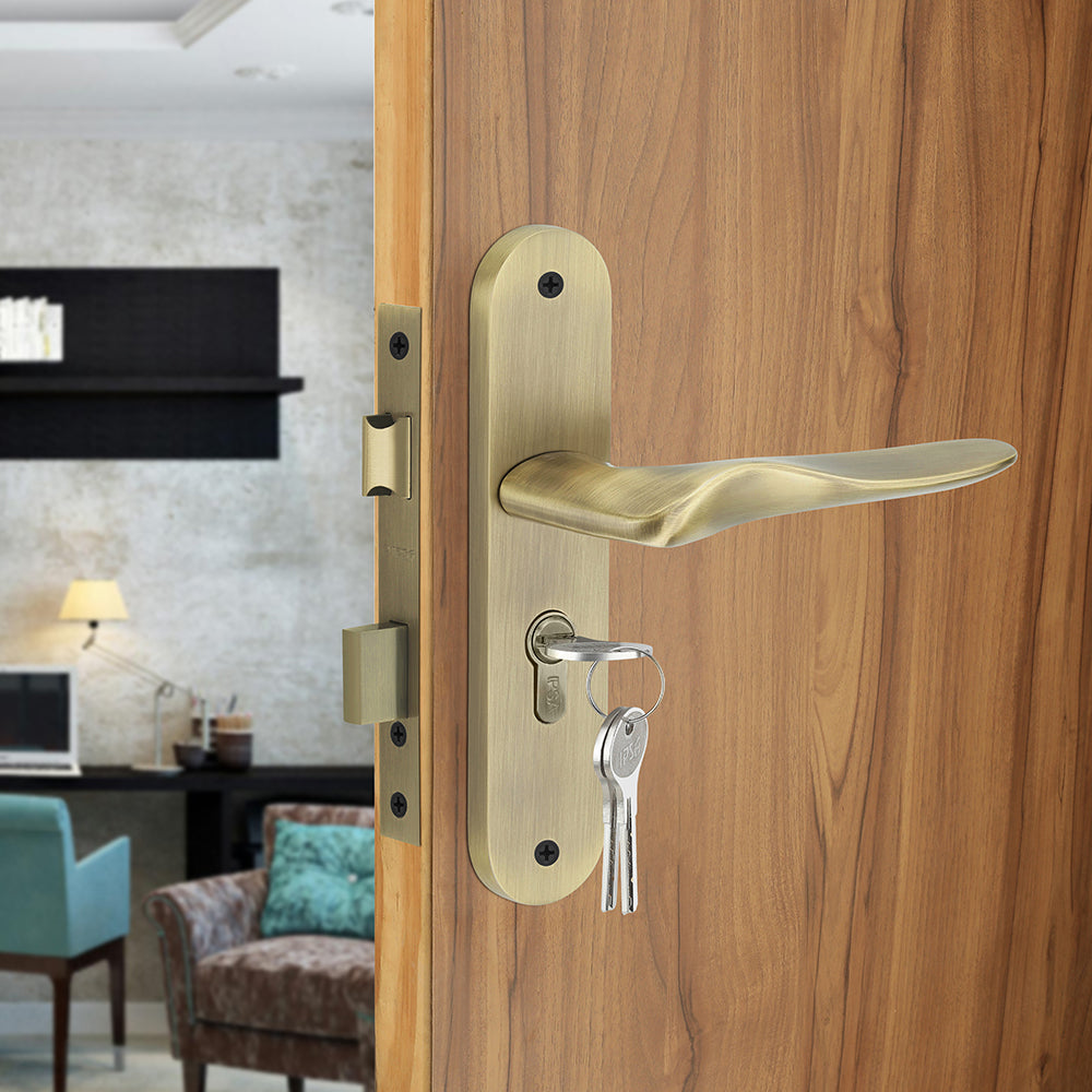 IPSA Sand Iris Handle Series on 8" Plate CYS Lockset with 60mm One Sid
