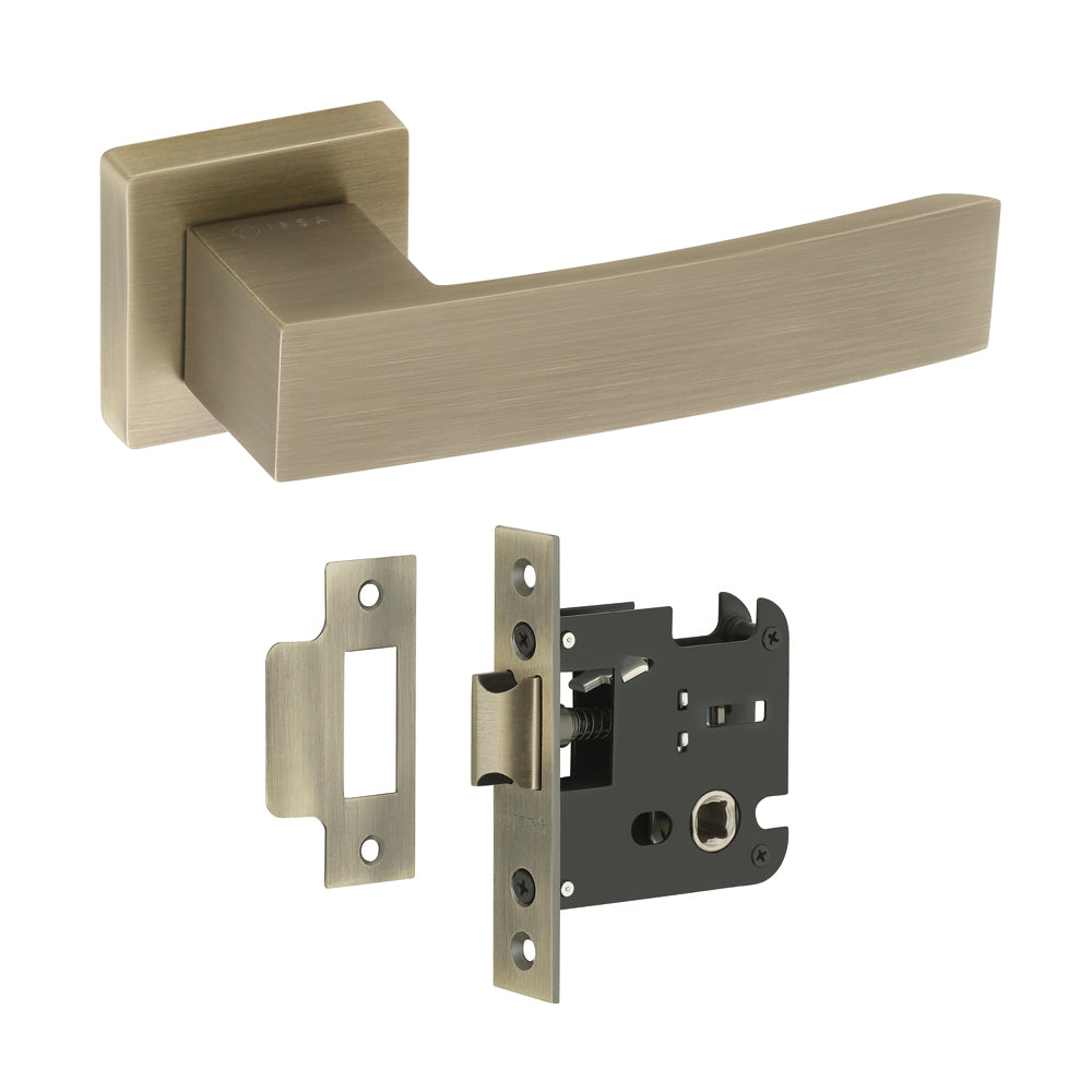 IPSA Sky Iris Handle Series Door Handle on 8" Plate PKY Lockset Finish